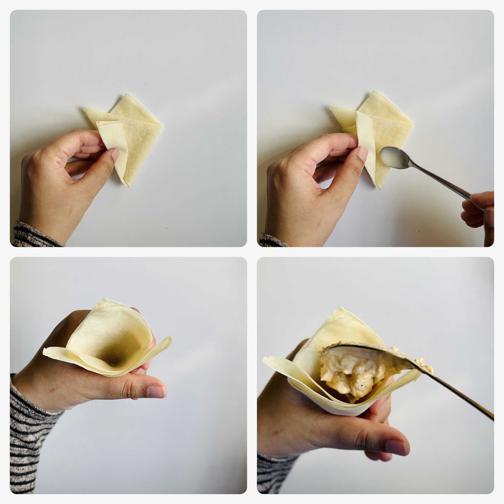 Chicken cheese samosa